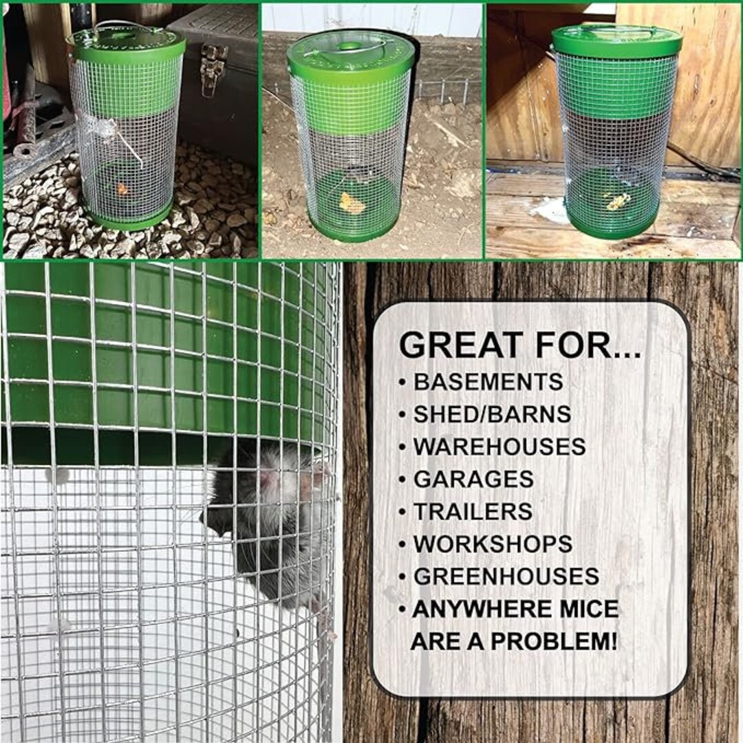 Mouse Trap, Rodent Trap, Handmade Trap, Pest Control, Eco Friendly Trap ...