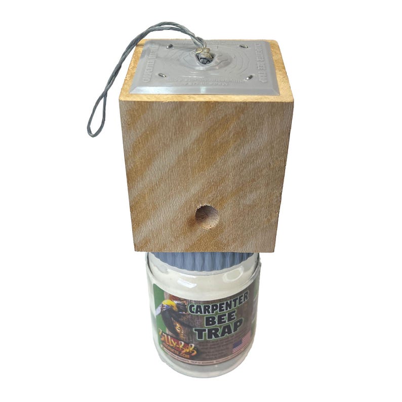 Handmade Carpenter Bee Trap - Wooden Bee Traps - Carpenter Bee - - Etsy