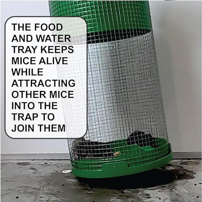 Mouse Trap, Rodent Trap, Handmade Trap, Pest Control, Eco Friendly Trap ...