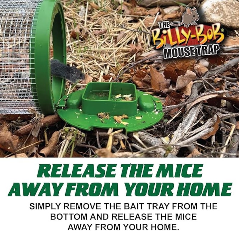 Mouse Trap, Rodent Trap, Handmade Trap, Pest Control, Eco Friendly Trap ...
