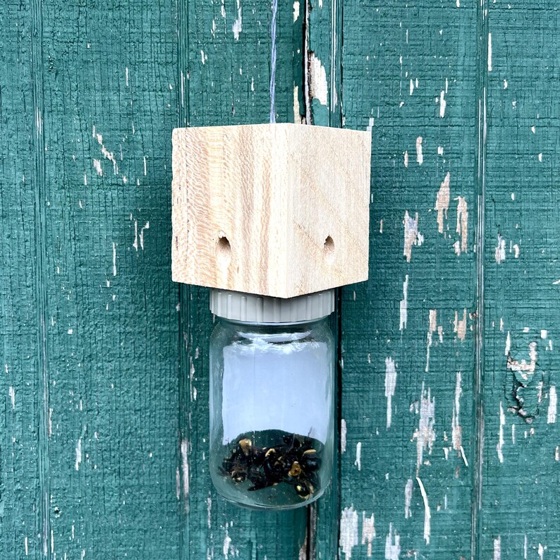 Handmade Carpenter Bee Trap - Wooden Bee Traps - Carpenter Bee - - Etsy