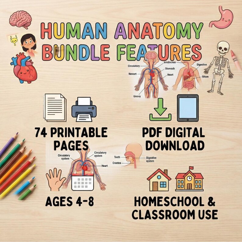 Human Body Anatomy Busy Books Bundle | 3 Educational Worksheets for ...
