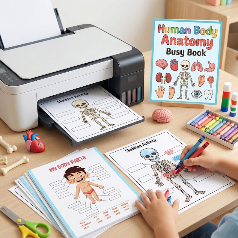 Human Body Anatomy Busy Books Bundle | 3 Educational Worksheets for ...