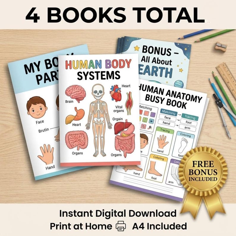 Human Body Anatomy Busy Books Bundle | 3 Educational Worksheets for ...