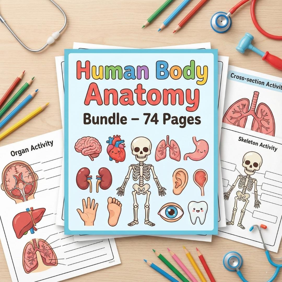 Human Body Anatomy Busy Books Bundle | 3 Educational Worksheets for ...