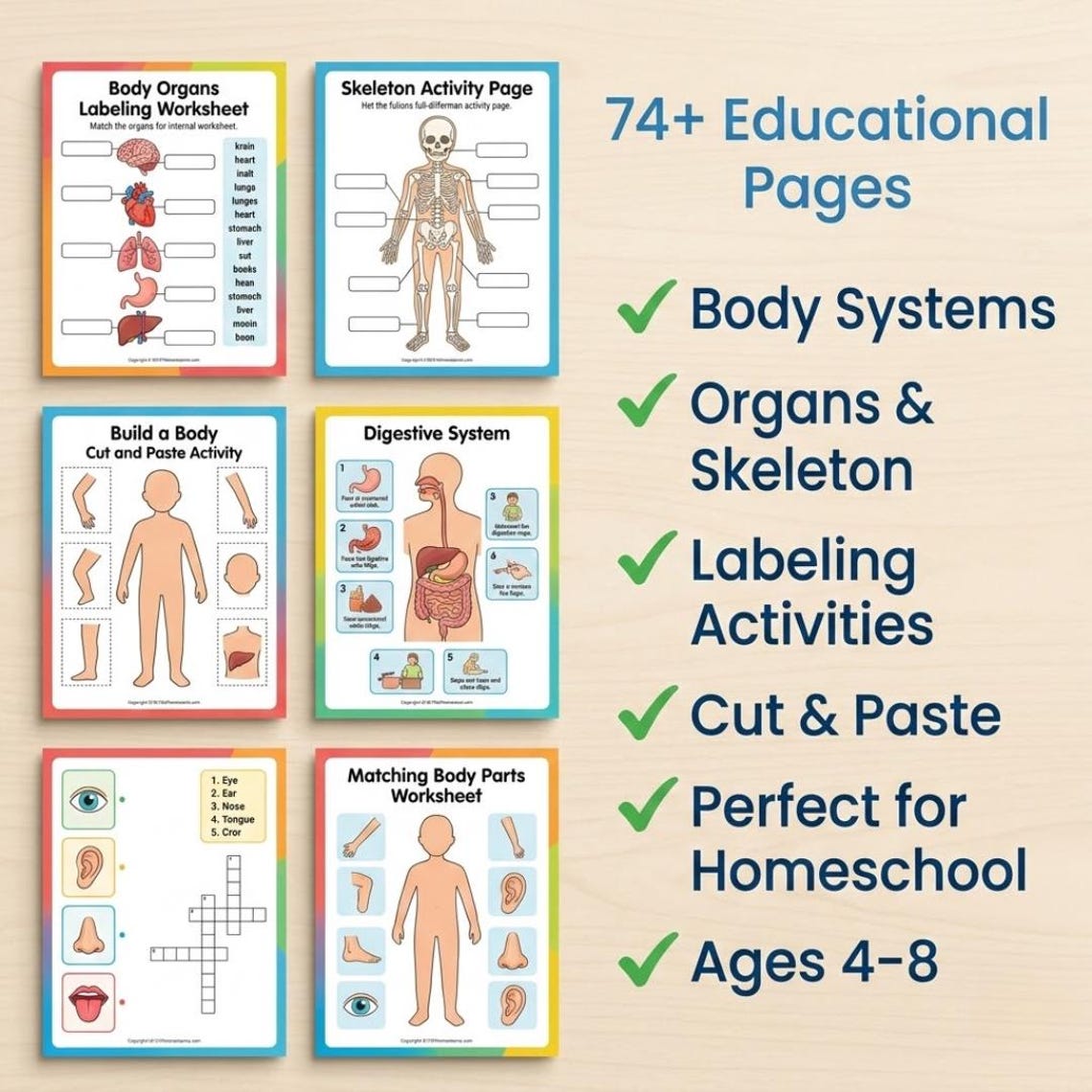 Human Body Anatomy Busy Books Bundle | 3 Educational Worksheets for ...