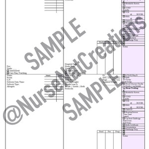 Mother-baby Postpartum Report Sheet - Two Couplets Nightshift PDF - Etsy