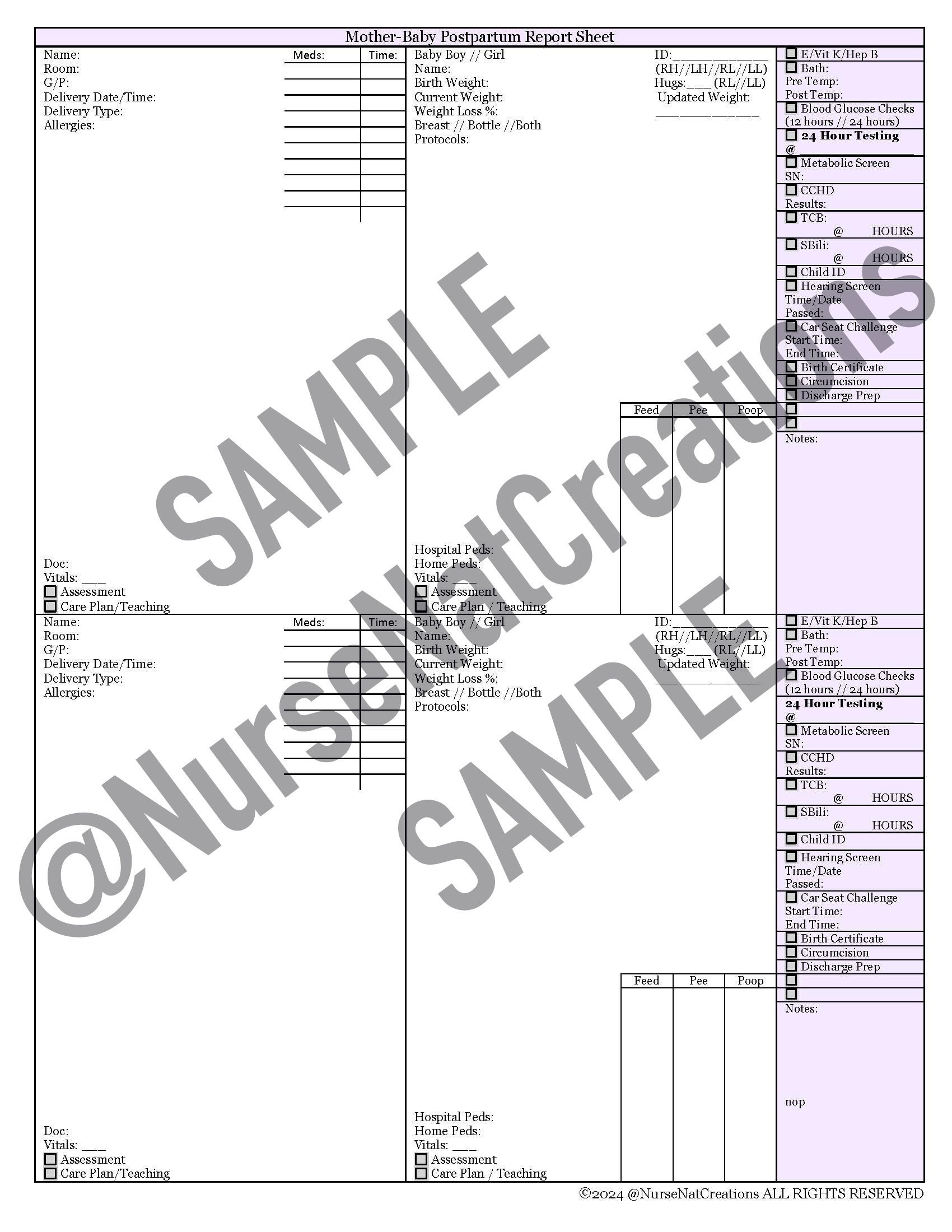 Mother-baby Postpartum Report Sheet - Two Couplets Nightshift PDF - Etsy