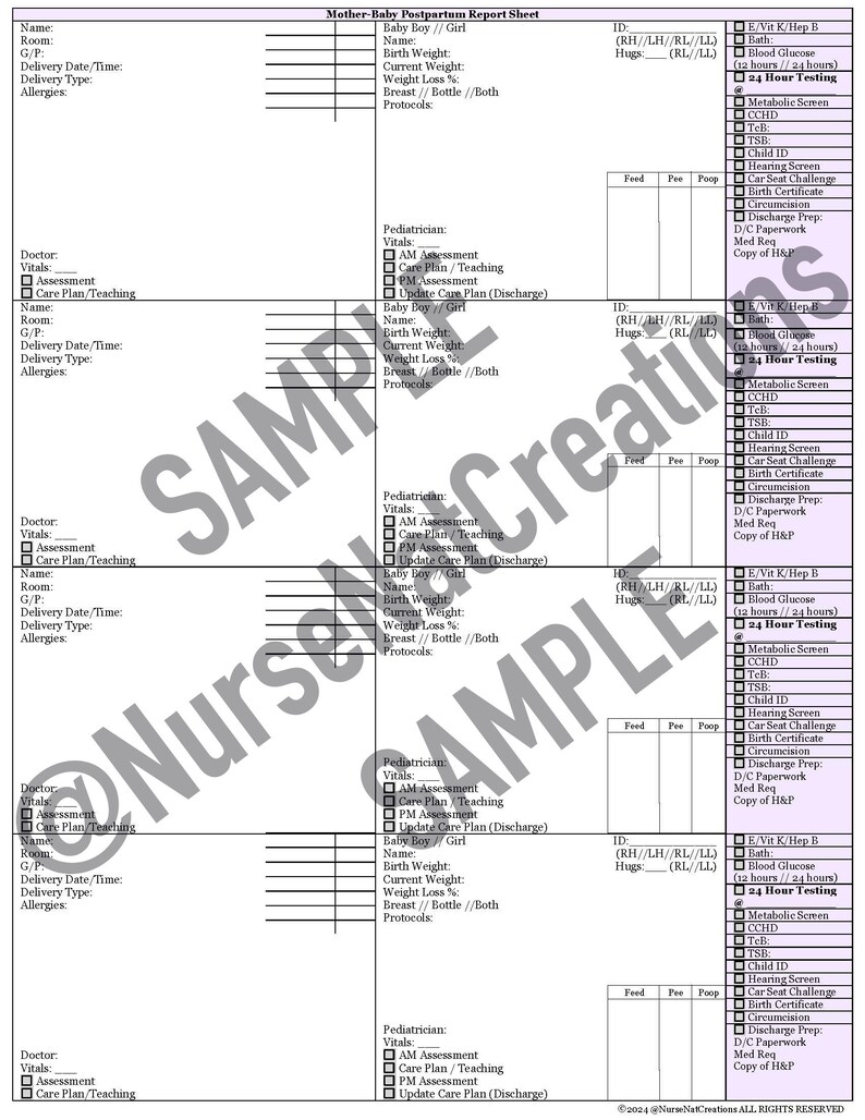 Mother-baby Postpartum Report Sheet BUNDLE - Etsy
