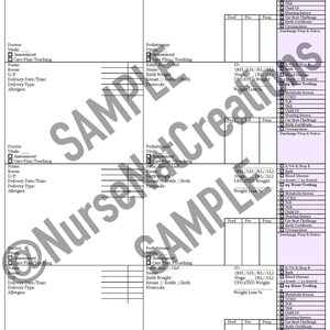 Mother-baby Postpartum Report Sheet - Four Couplets Nightshift PDF - Etsy