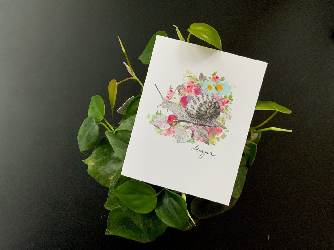 Set of 6 - Garden Snail - Greeting Cards - Etsy
