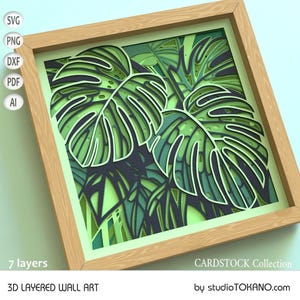 3D Multilayer Cricut Svg Monstera Cardstock Mandala, Papercut Shadowbox ...