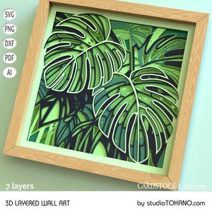3D Multilayer Cricut Svg Monstera Cardstock Mandala, Papercut Shadowbox ...