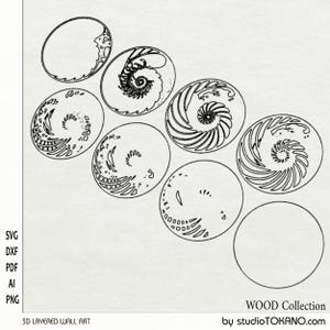 3D Layered Nautilus SVG, Shell Laser Cut File, Ocean Plywood Art Cut ...