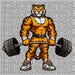 Tiger Orange Powerlifting PNG, Tiger Weight Training PNG, Tiger ...