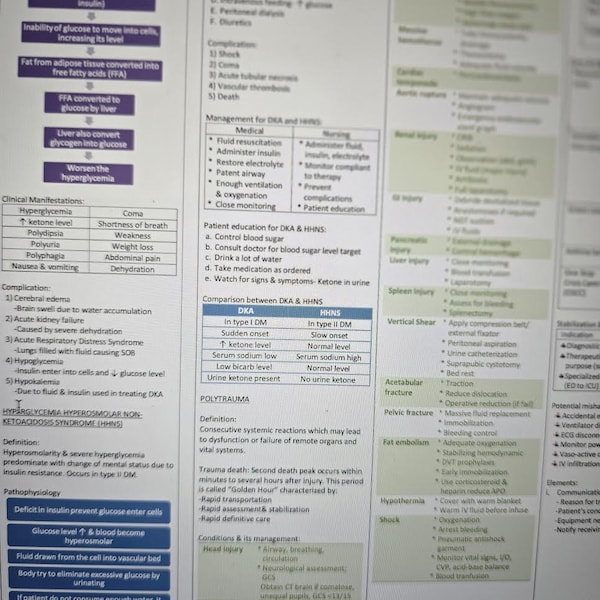 Nurse Report Sheet Version 2 - Etsy Canada