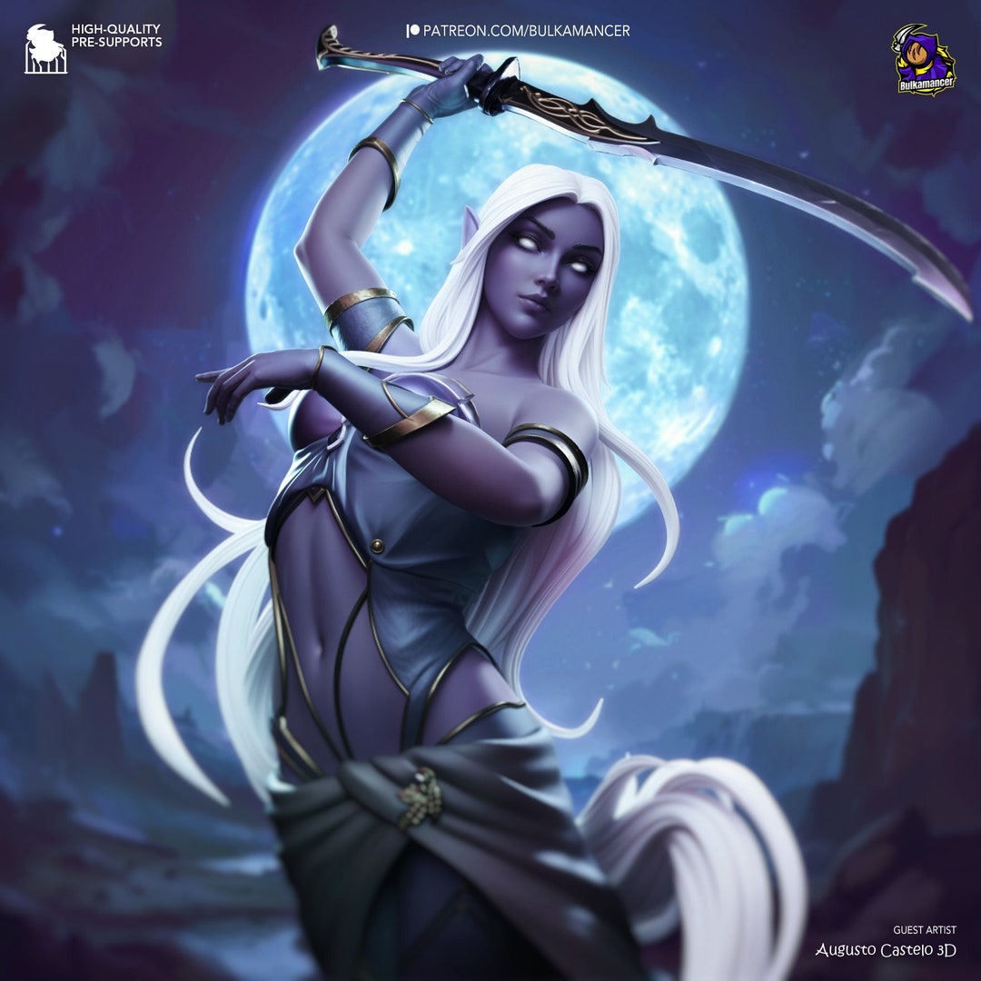 Drow Blade Dancer | 3D Printed Collectible Figure | Gift for Gamers | Hobby Painting | RPG ...