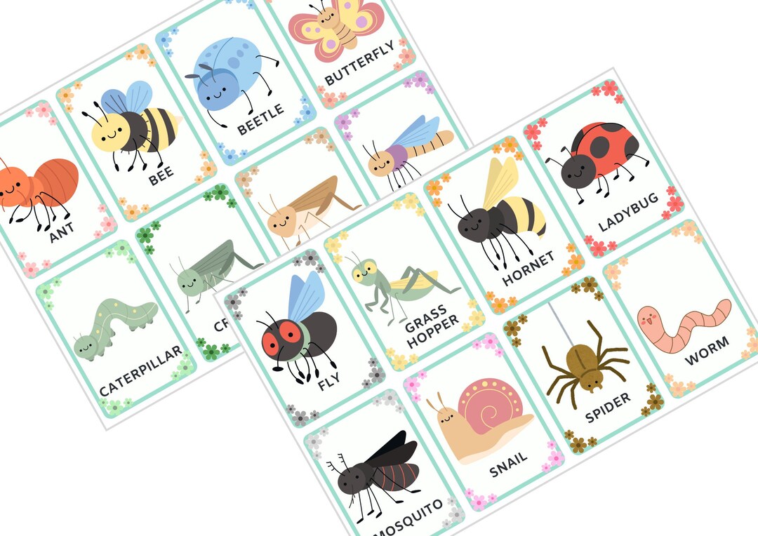 Bugs and Insects Flash Cards for Toddlers and Kids - Etsy