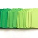 Funky Tags Paper Gift Tags in Fresh Greens Set of 50 | Etsy