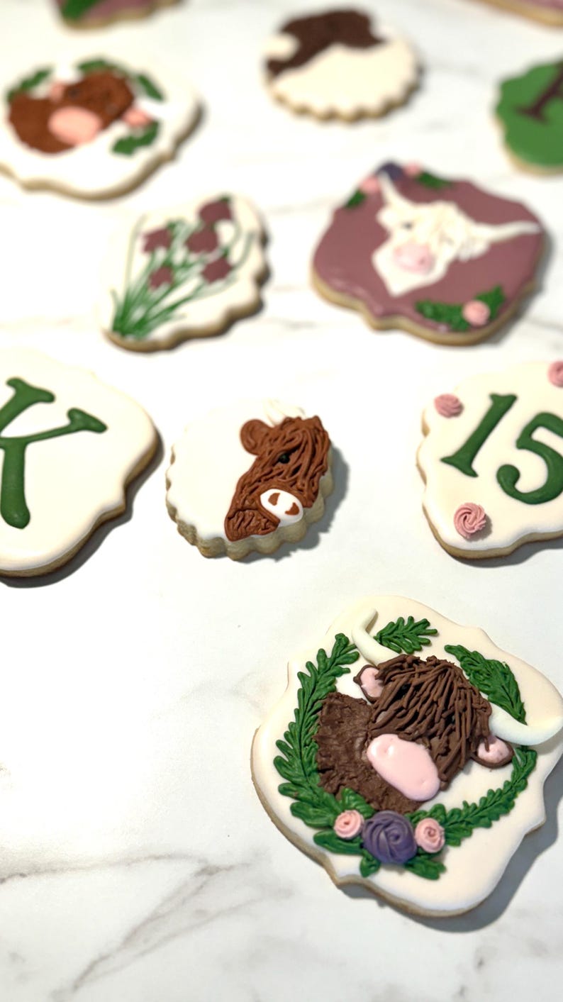 Highland Cow Birthday Cookie Set - Etsy