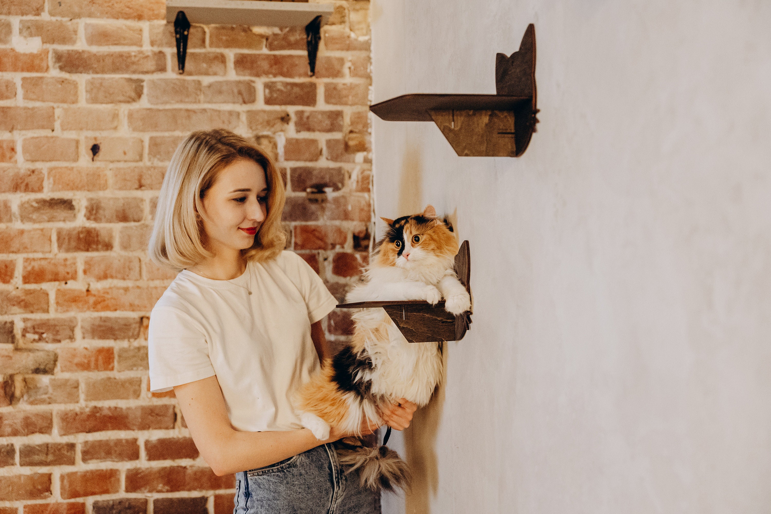 Natural Wood Wall Mounted Cats Ladder, Cat Climbing Wood Steps, Wall ...