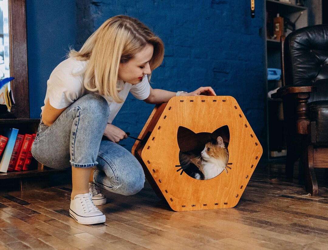 Rustic Hexagonal Cat House Wooden Cat Sleeping Place, Home Decor for ...