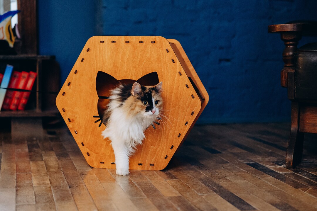 Modern Hexagonal Floor Cat House, Wooden Cat Sleeping Place, Cozy Cat ...
