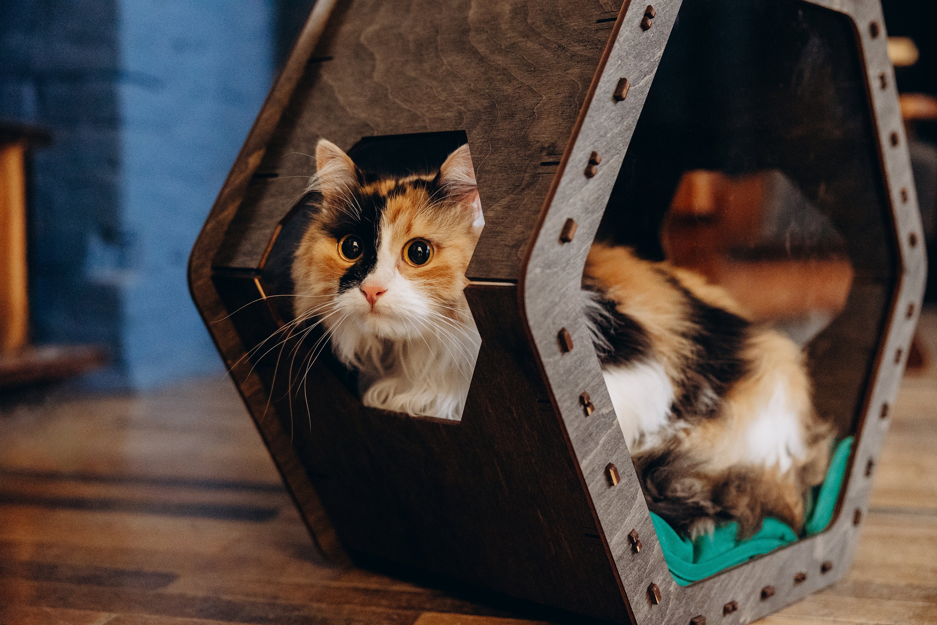 Modern Wooden Cat House With Custom Text Engraving, Personalized Wood ...