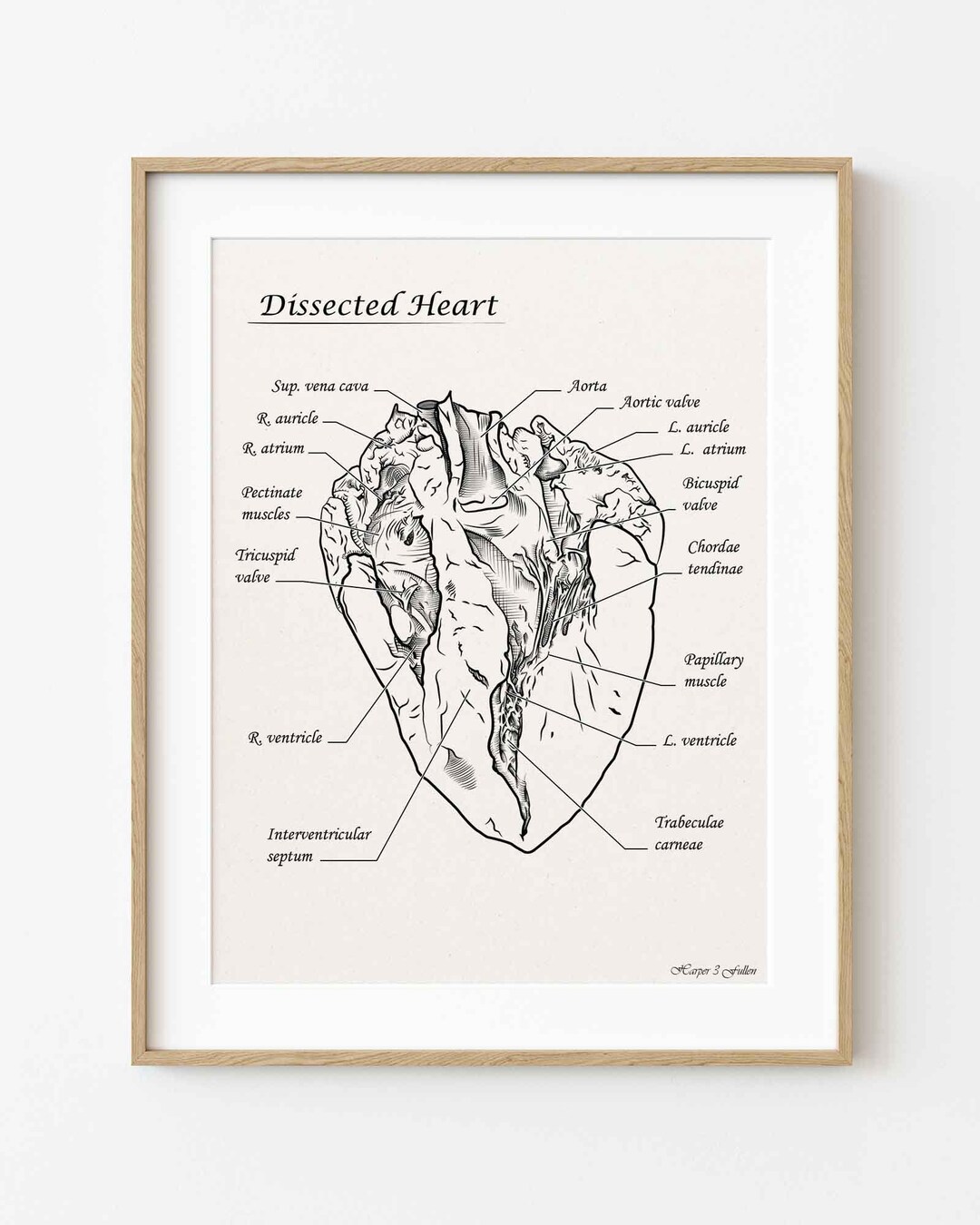 Heart Dissection Labeled Print Art for Home, Office, School, Dorm, Wall ...
