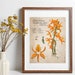 Botanical Orchid Labeled Diagram Print Artwork Nature and Science Home ...