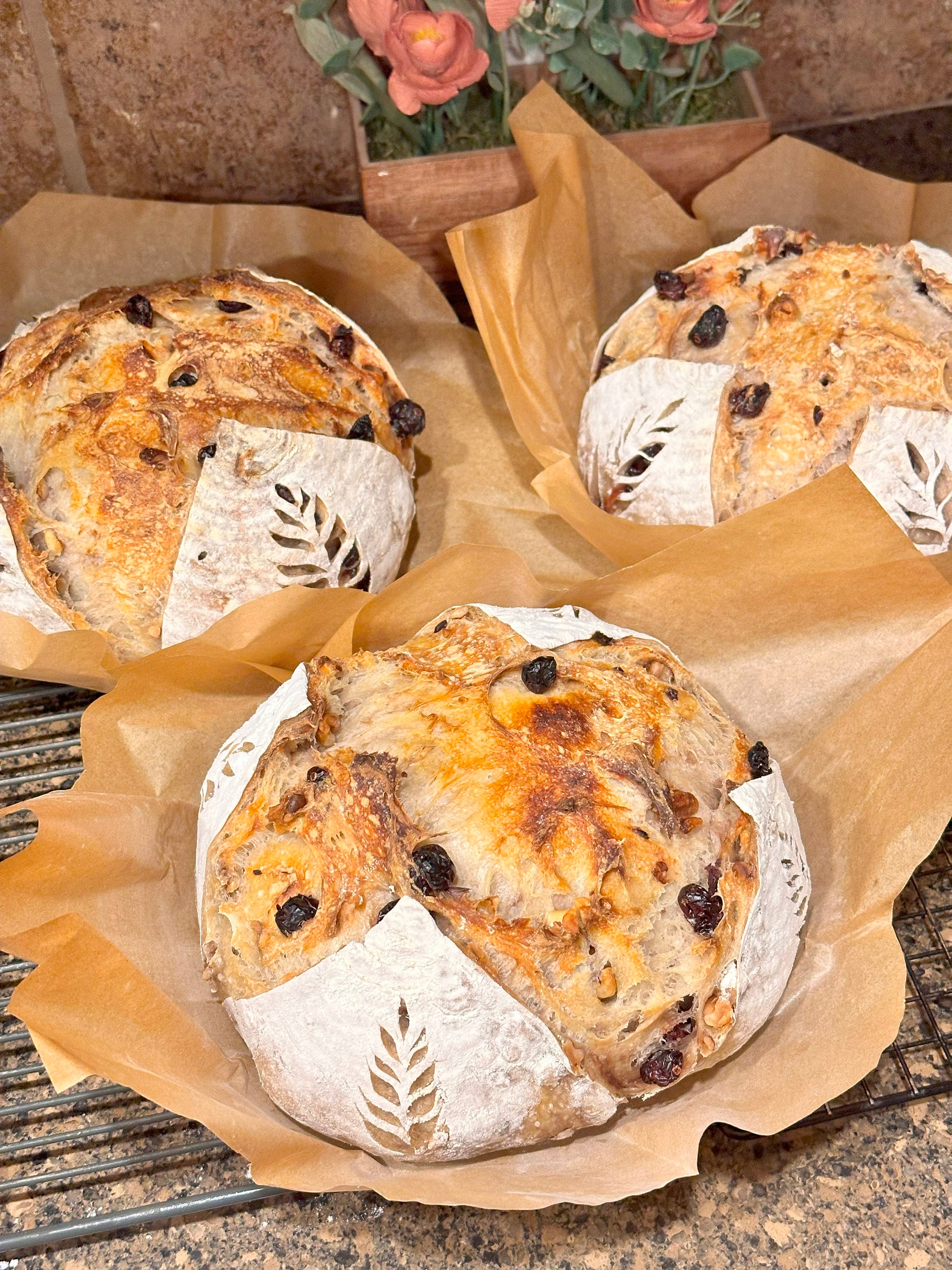 Sourdough Tutorial, Sourdough Step by Step, Teaching Sourdough, Beginner Sourdough, Sourdough - Etsy