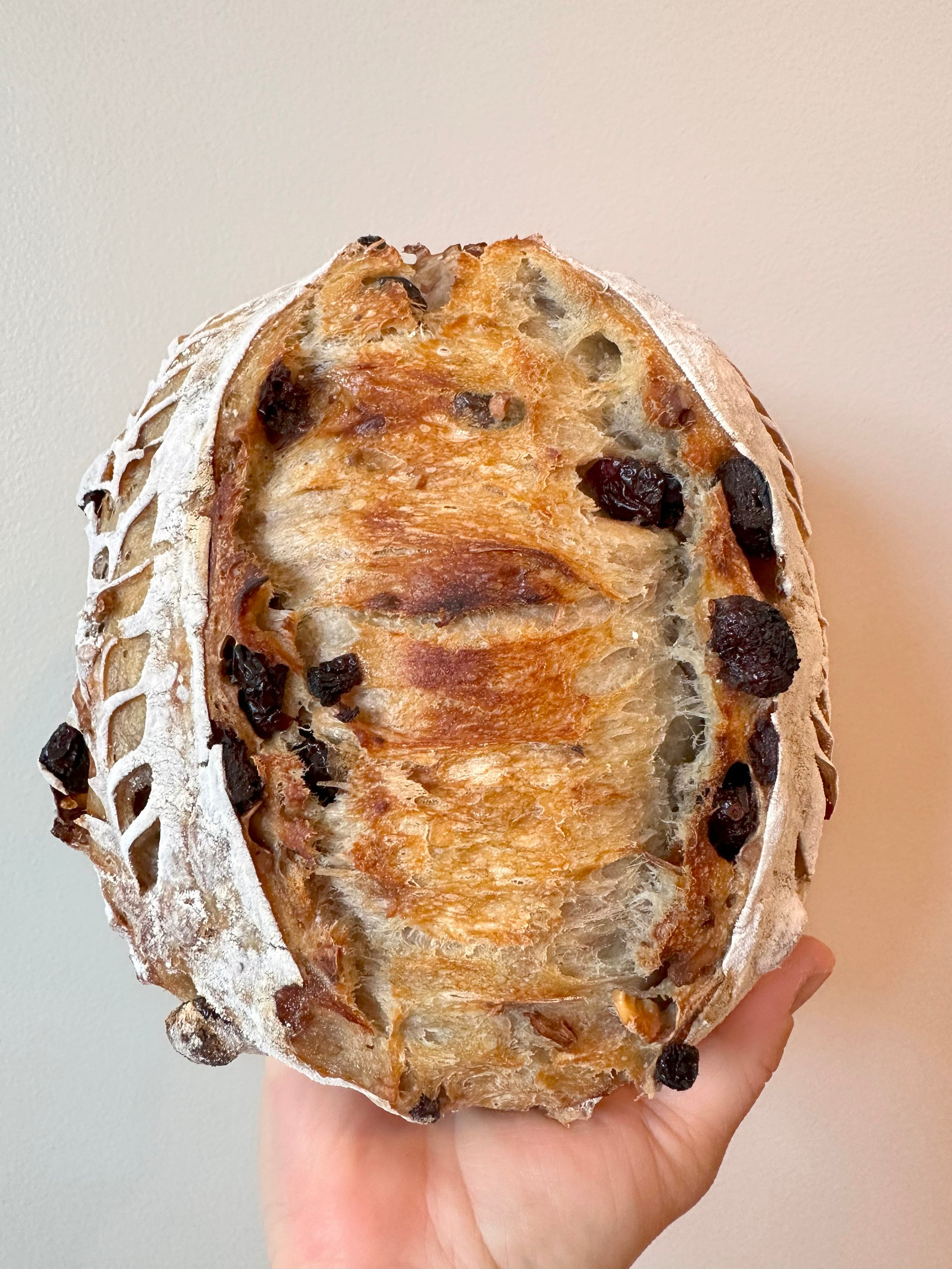 Sourdough Tutorial, Sourdough Step by Step, Teaching Sourdough, Beginner Sourdough, Sourdough - Etsy