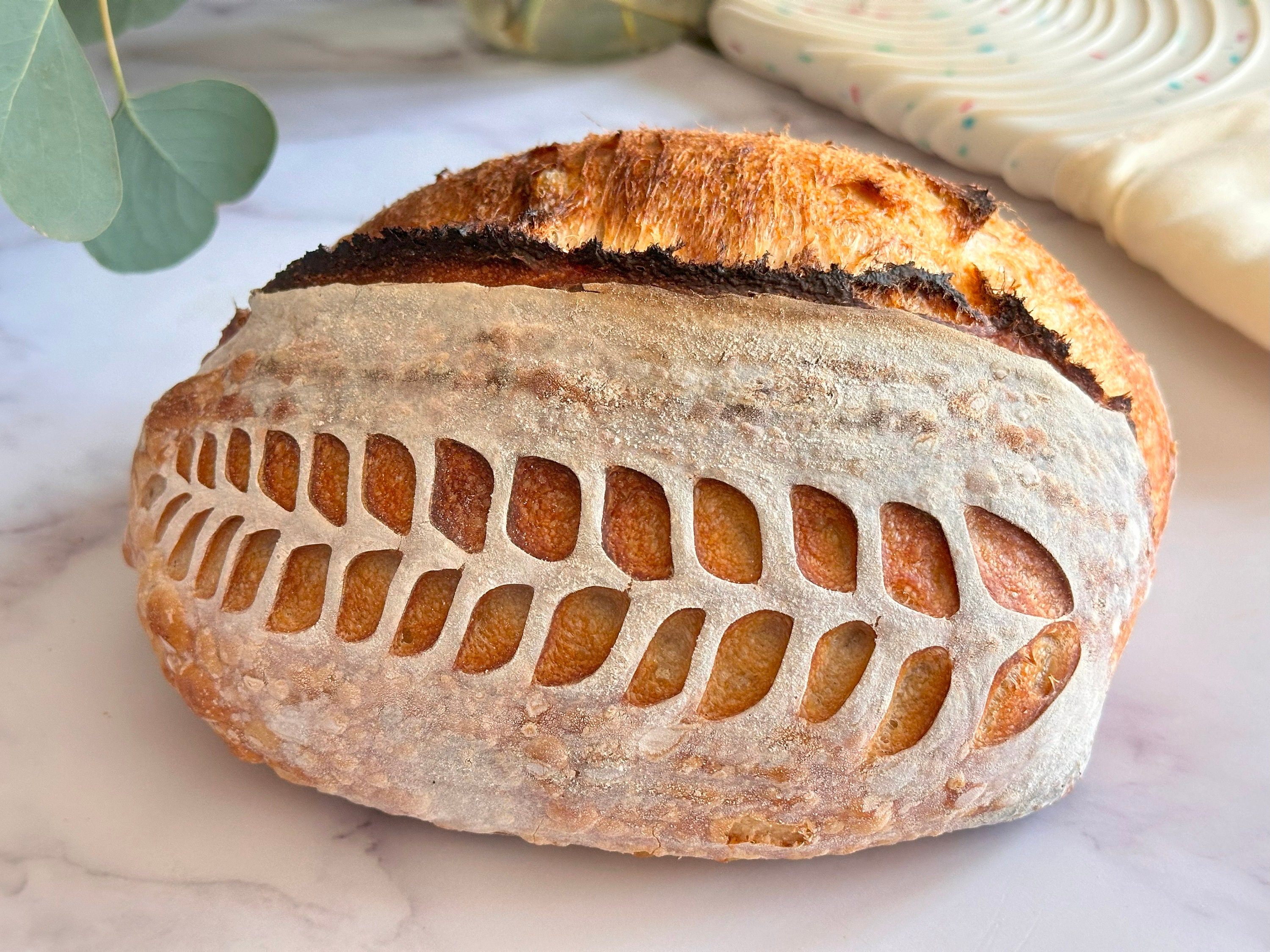 Sourdough Tutorial, Sourdough Step by Step, Teaching Sourdough, Beginner Sourdough, Sourdough - Etsy