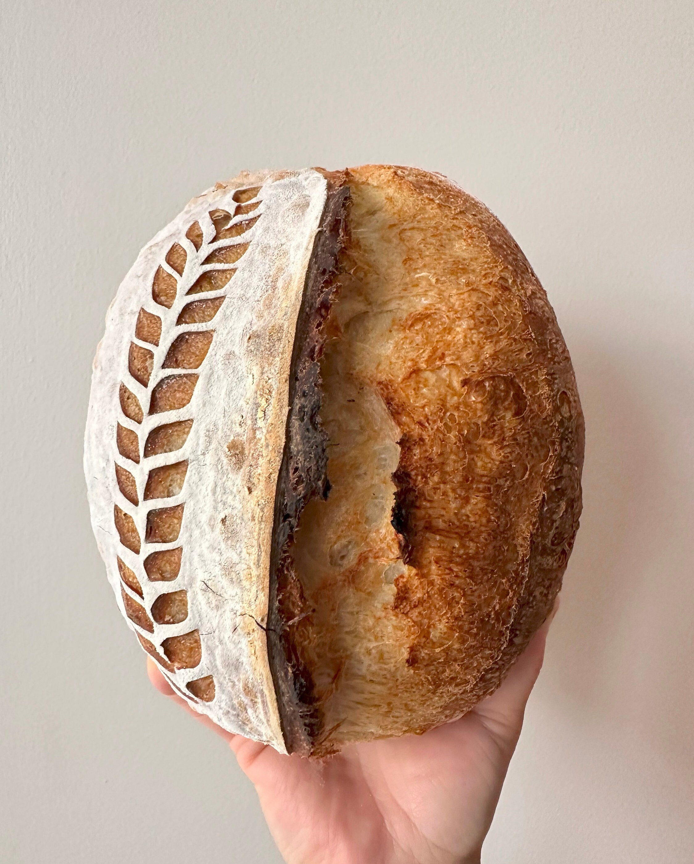 Sourdough Tutorial, Sourdough Step by Step, Teaching Sourdough, Beginner Sourdough, Sourdough - Etsy