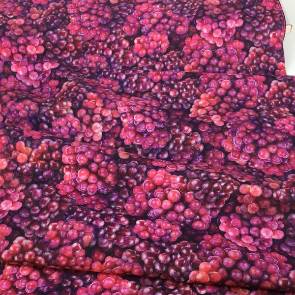 Grapes Fabric - Etsy