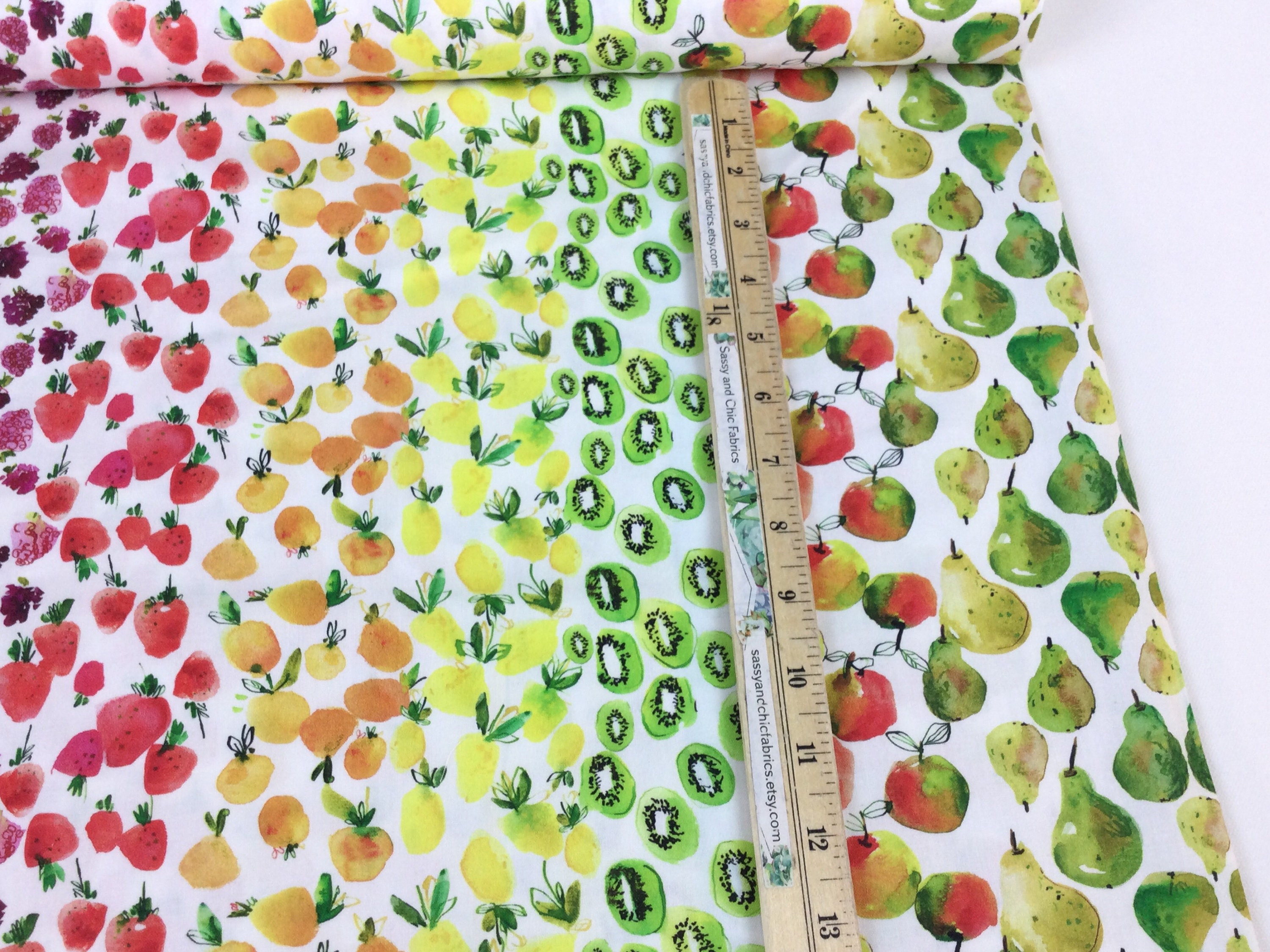 Fruit Ombre White Fabric ~ Tree of Life Collection for Dear Stella ...