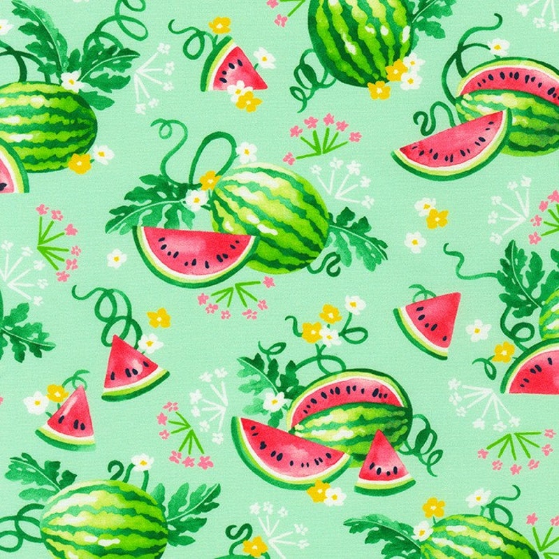Watermelon Patch - Etsy