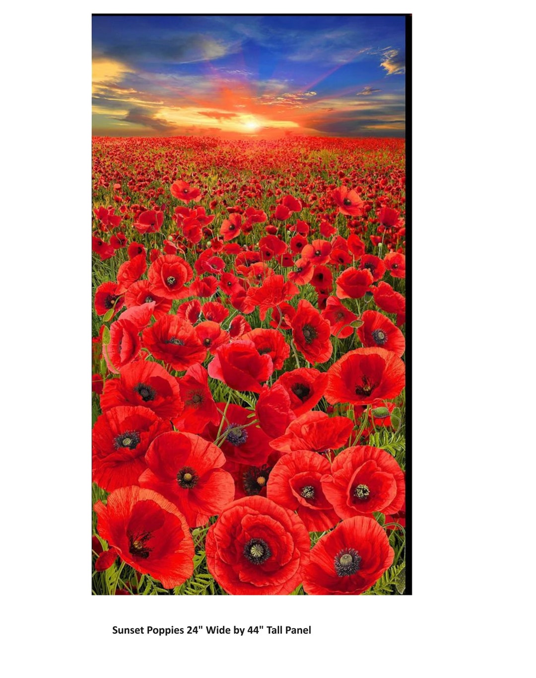 24" Poppy Field Panel 100% Cotton Digital Fabric ~ Sunset Poppies by ...