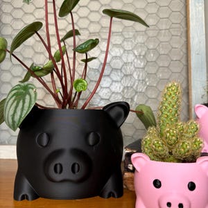 Pig Planter, 3d Printed Pot, Cute Planter, Fun Farm Animal Pot, Pig Pot ...