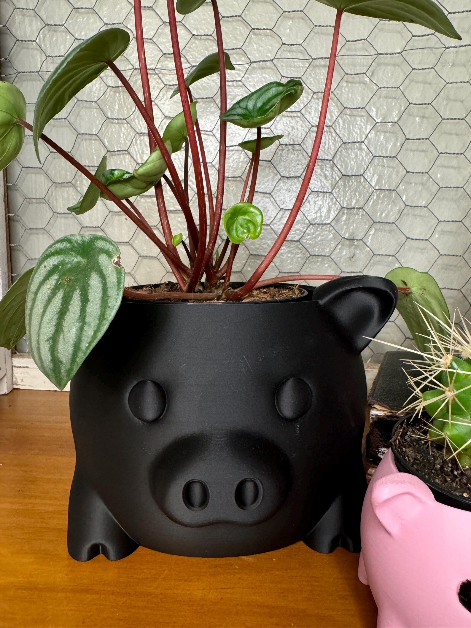 Pig Planter, 3d Printed Pot, Cute Planter, Fun Farm Animal Pot, Pig Pot ...