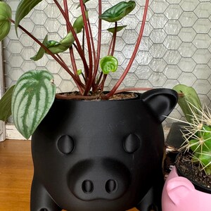 Pig Planter, 3d Printed Pot, Cute Planter, Fun Farm Animal Pot, Pig Pot ...