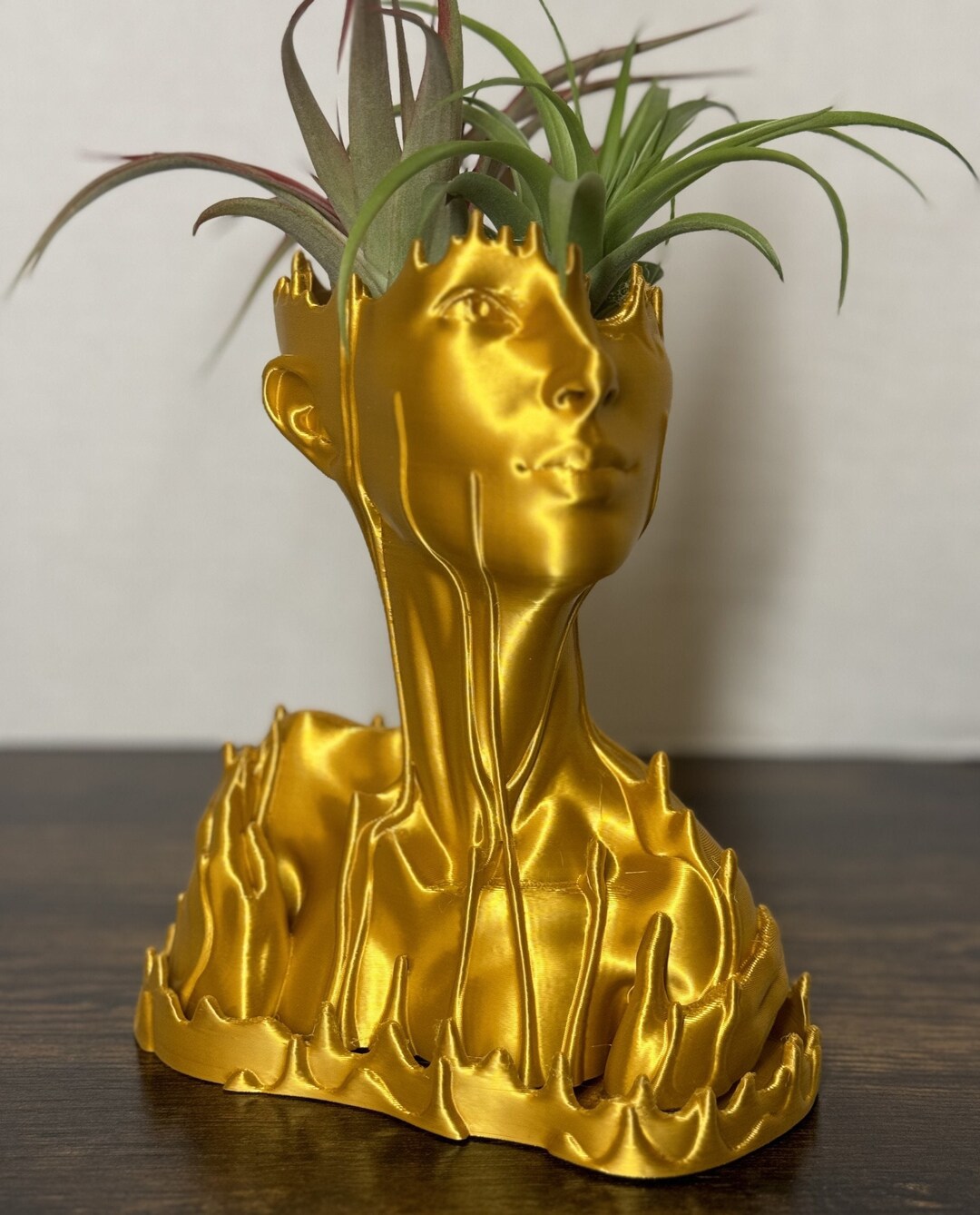 Woman Face Planter, 3D Printed: Abstract Art Vase, Small Plants, 40 ...