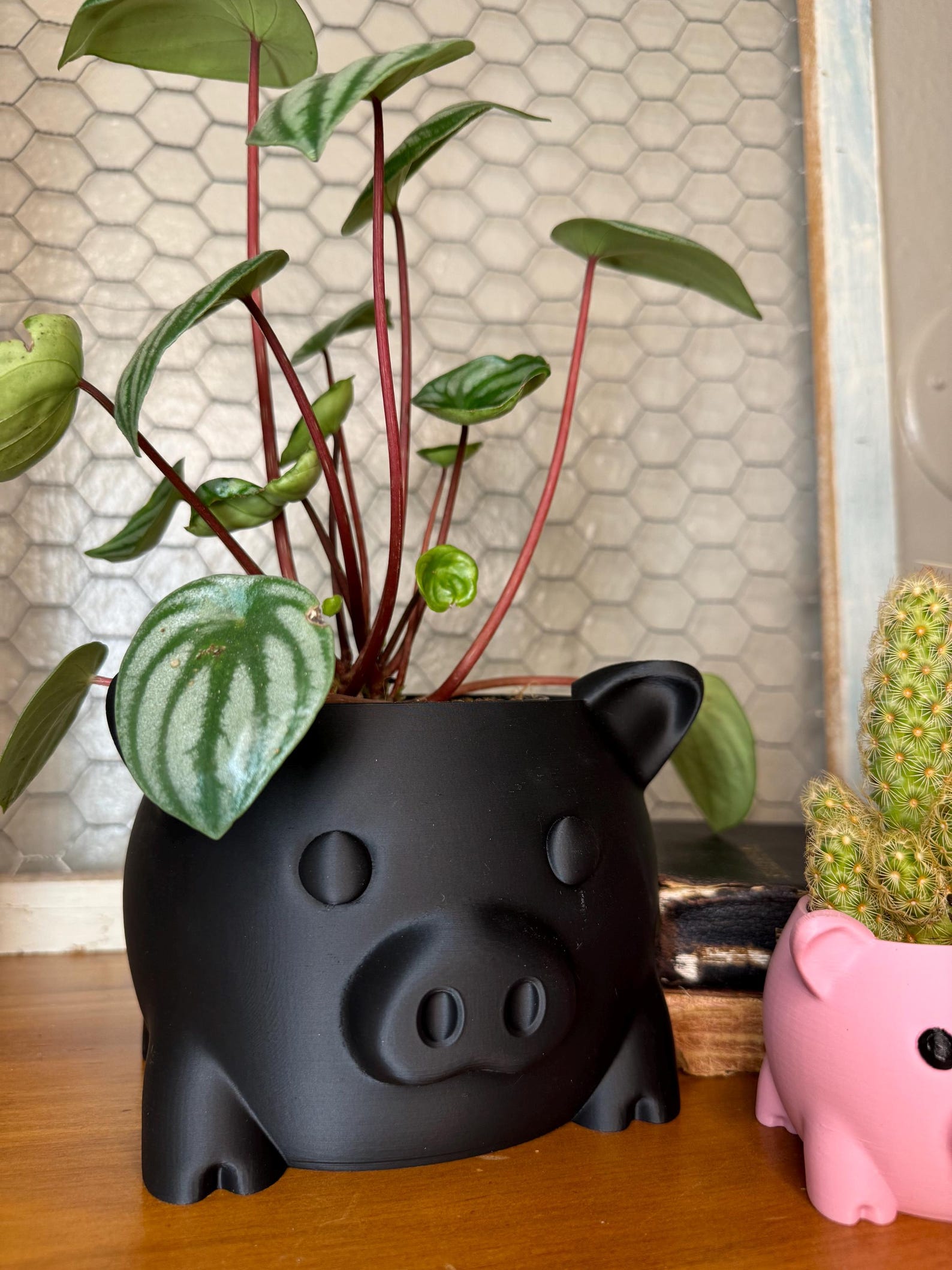 Pig Planter, 3d Printed Pot, Cute Planter, Fun Farm Animal Pot, Pig Pot ...