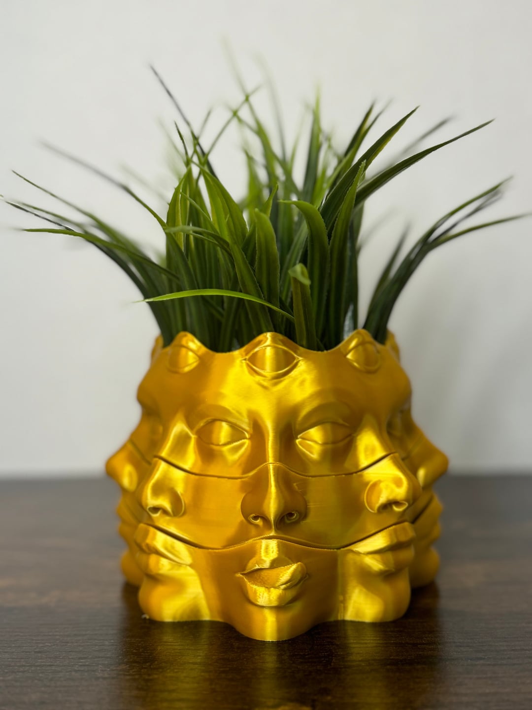 Spinning Face Planter, 3d Printed Polyface Pot, Multiple Faces, Oddity ...