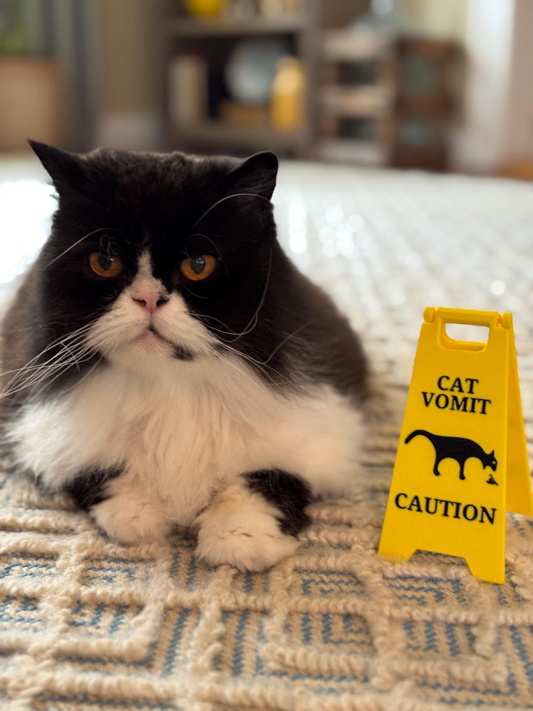 Cat Vomit Caution Sign, 3D Printed: Gag Gift for Cat Lovers - Etsy