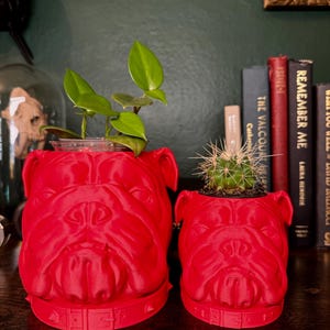 Bulldog Planter, 3D Printed: English Bulldog Pot, Drip Tray Included ...