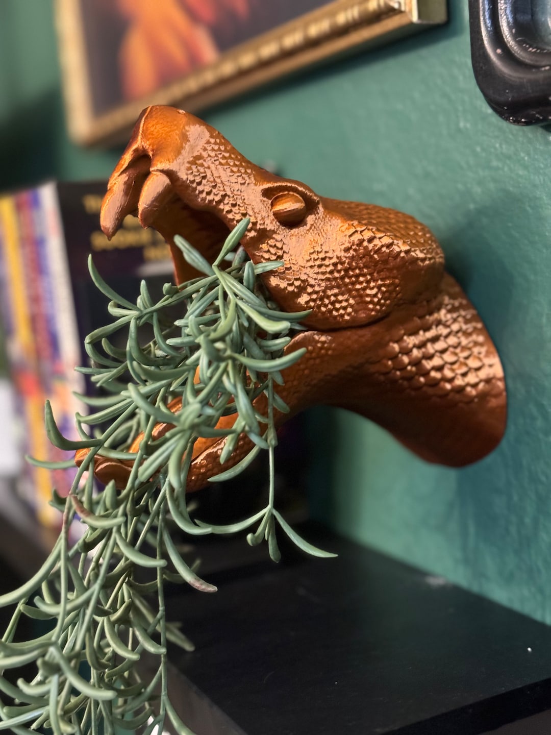 Snake Planter, Python Pot, Reptile, Wall/desk Decor, Easy to Mount ...