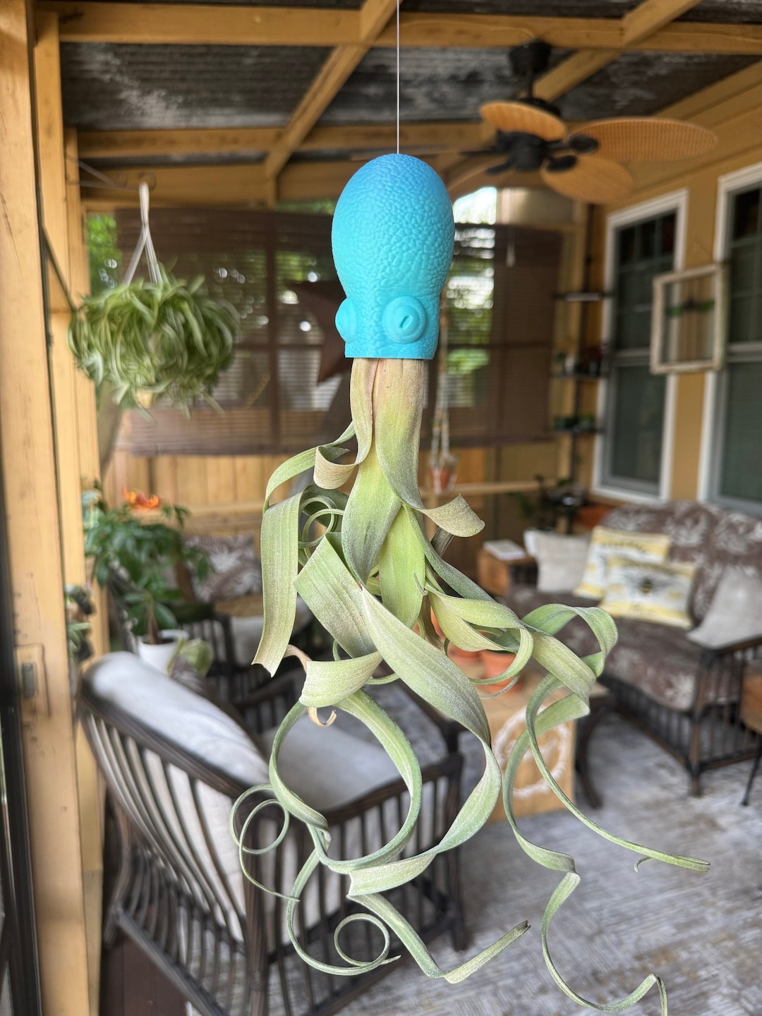 Octopus 3D Planter, Octopus Air Plant Holder, Squid, Ocean Creature ...
