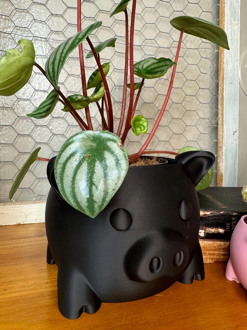 Pig Planter, 3d Printed Pot, Cute Planter, Fun Farm Animal Pot, Pig Pot ...