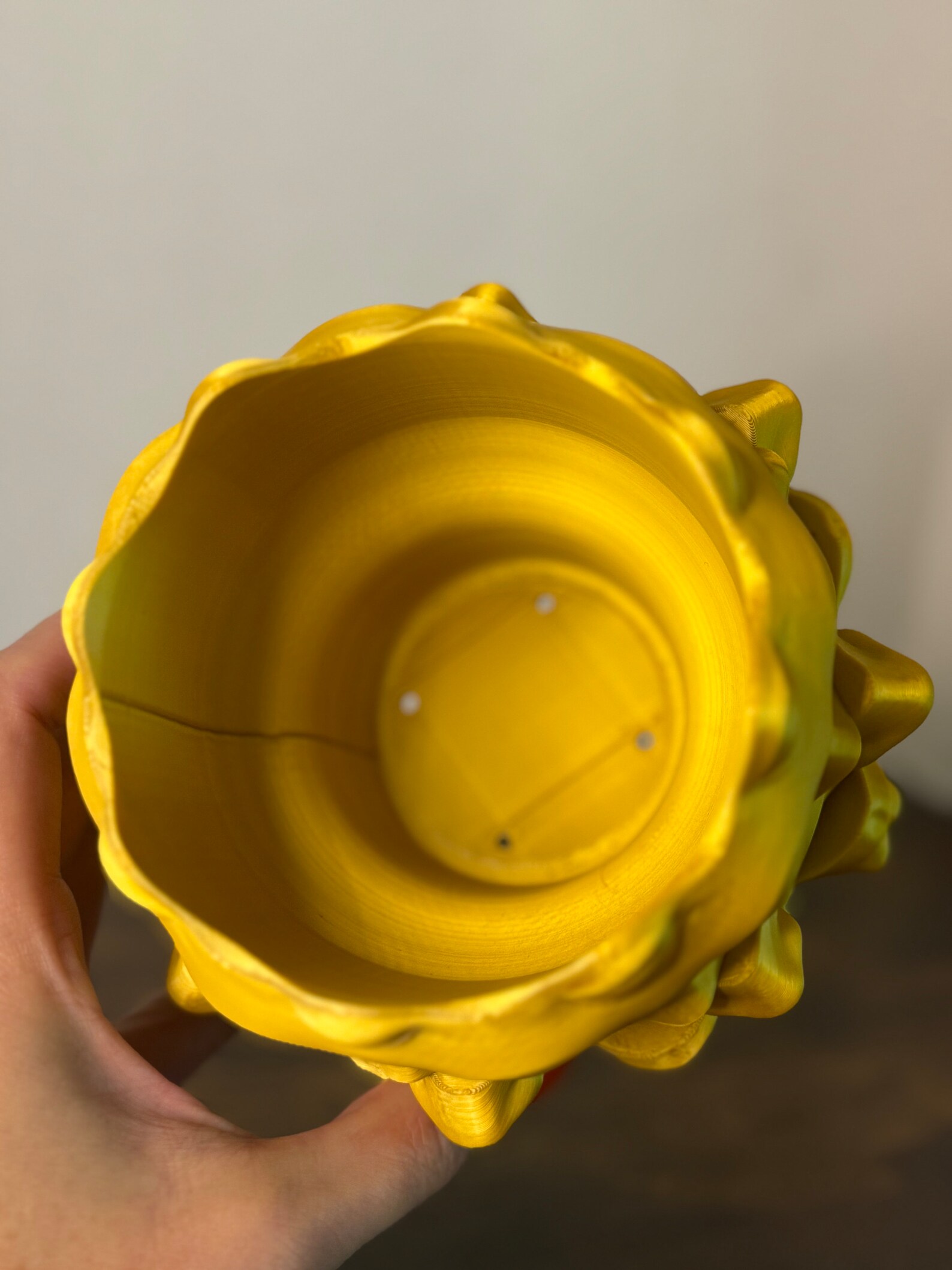 Spinning Face Planter: 3D Printed Fidget Vase, Multi-face Art - Etsy